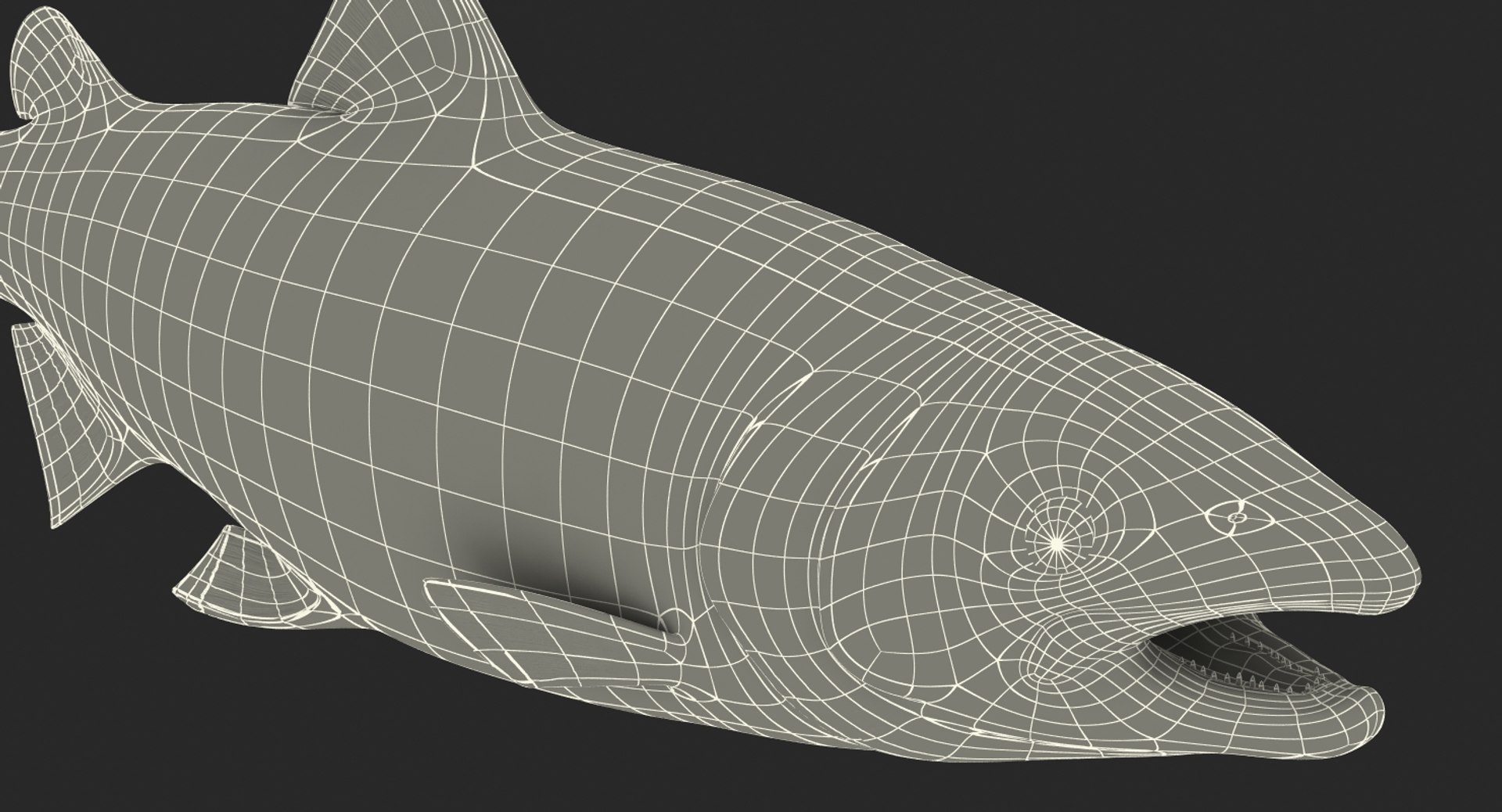 3d model atlantic salmon fish
