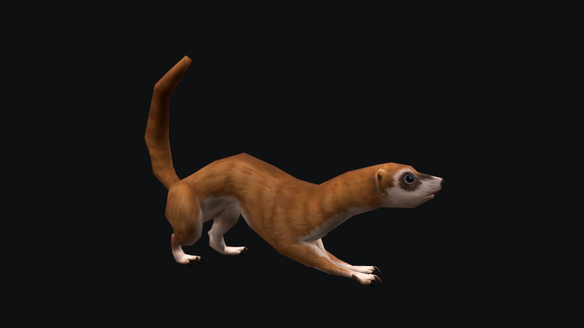 Weasel Ferret 3D Model - TurboSquid 2175968