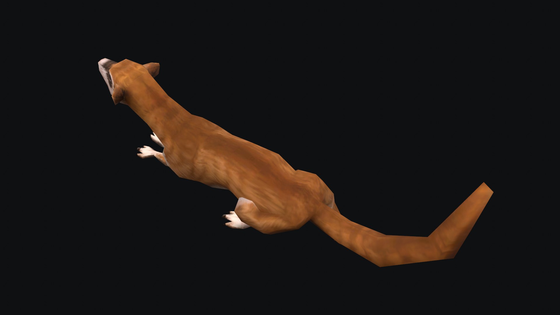 Weasel Ferret 3D Model - TurboSquid 2175968