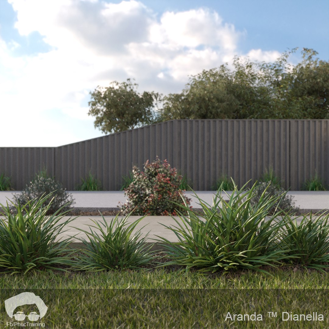 3D Aranda Dianella Model - TurboSquid 1332786