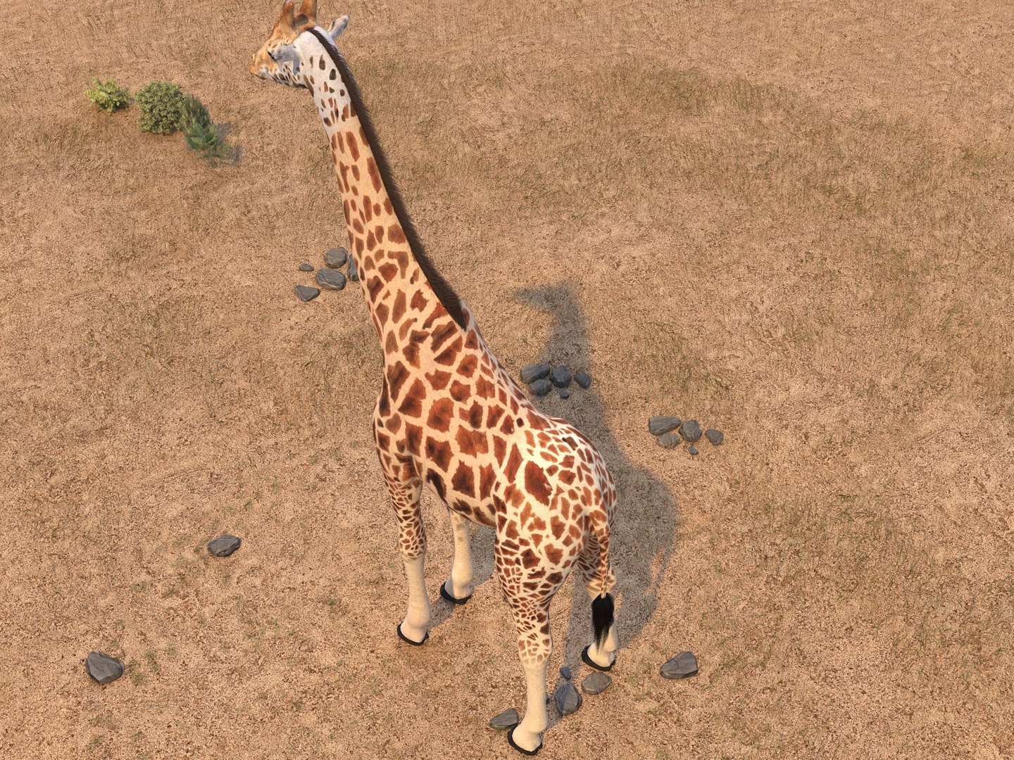 Rigged Animal 3d Model