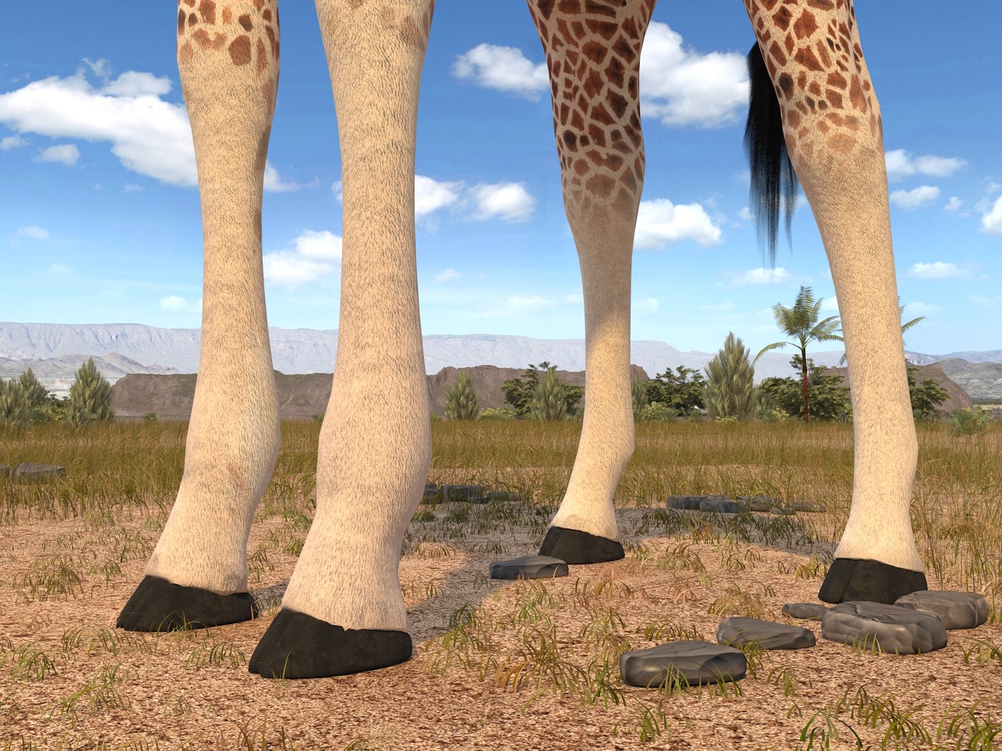Rigged Animal 3d Model