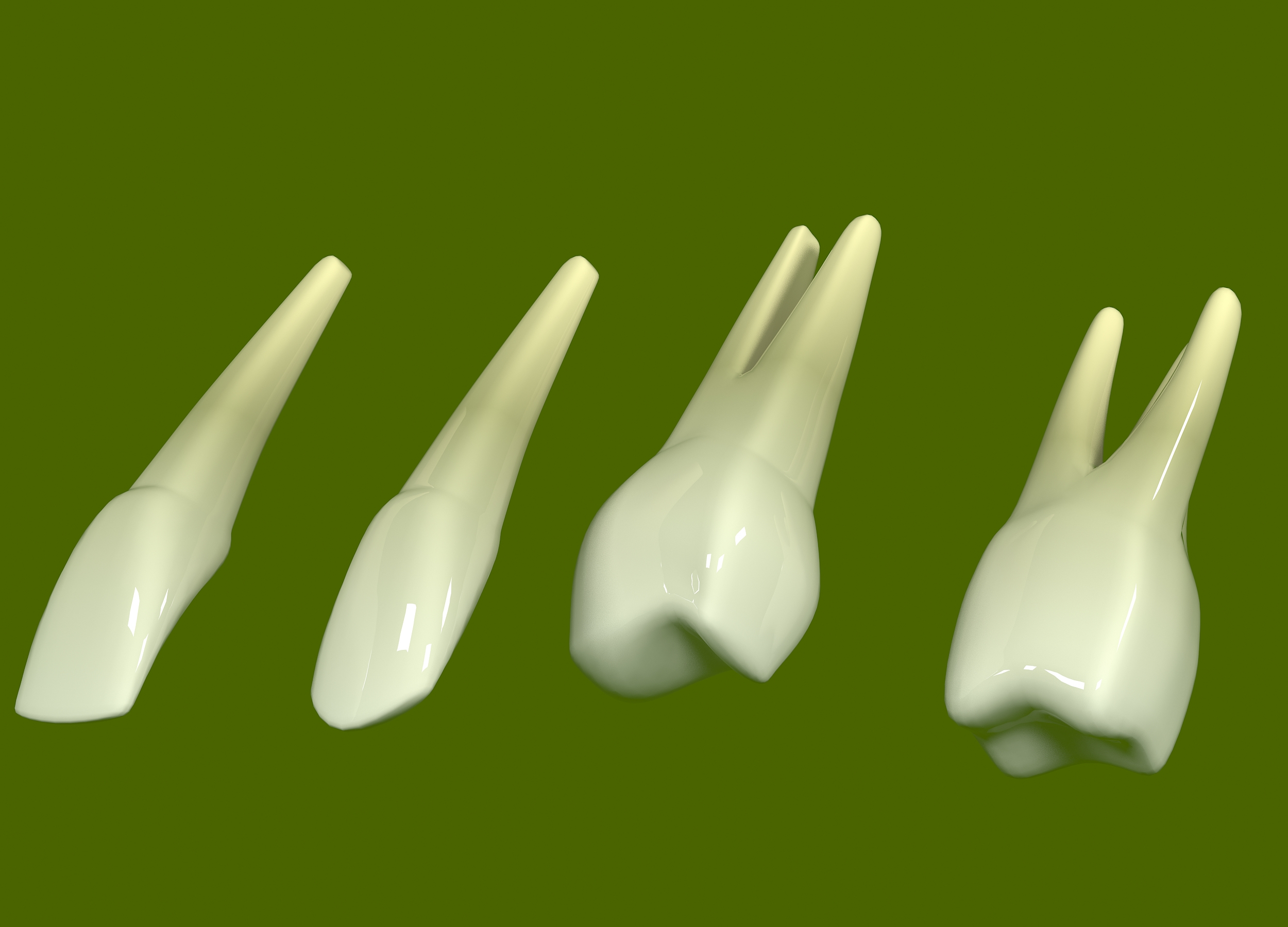 3d tooth