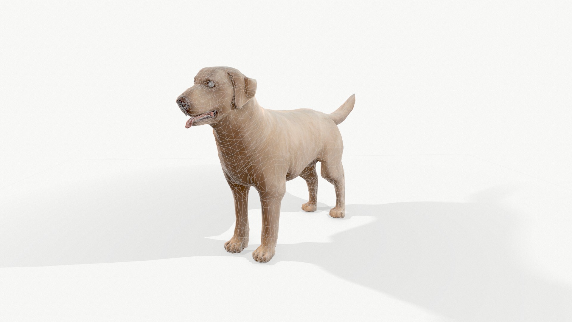 Dog labrador 3D model - TurboSquid 1635732