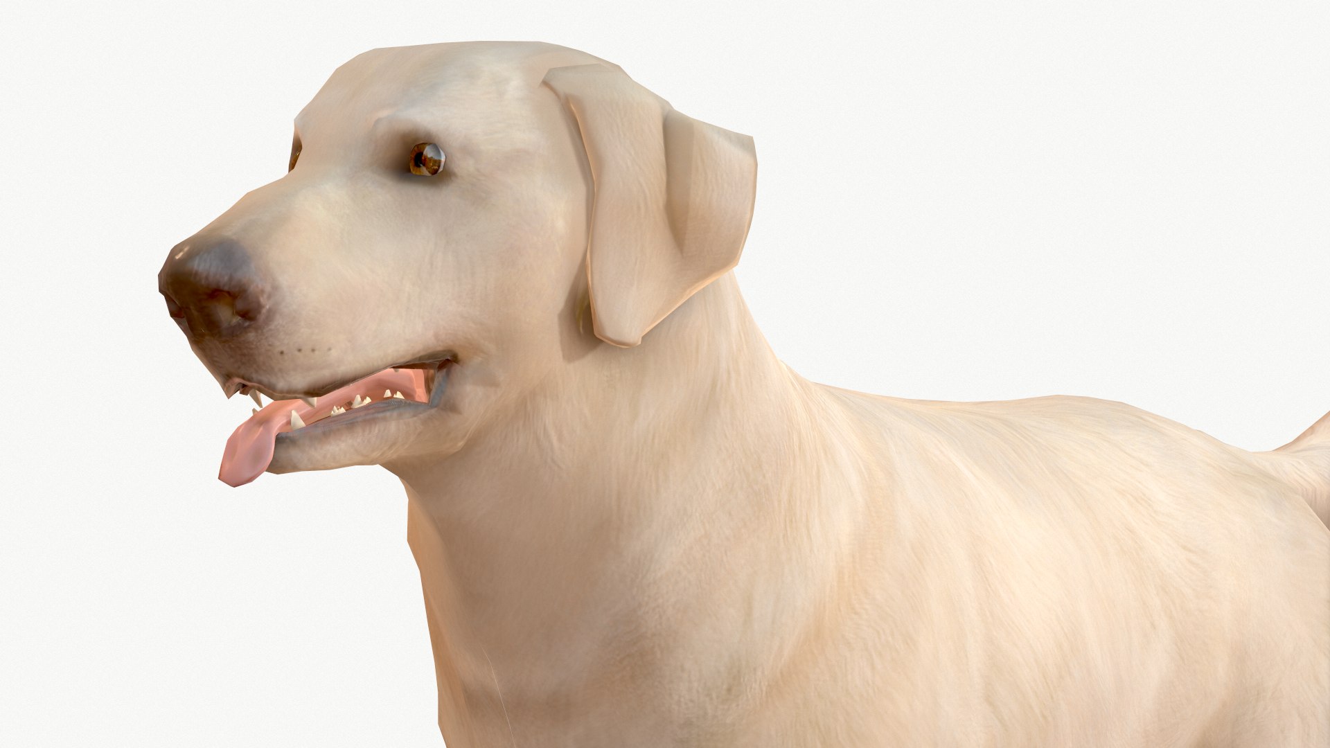 Dog Labrador 3D Model - TurboSquid 1635732
