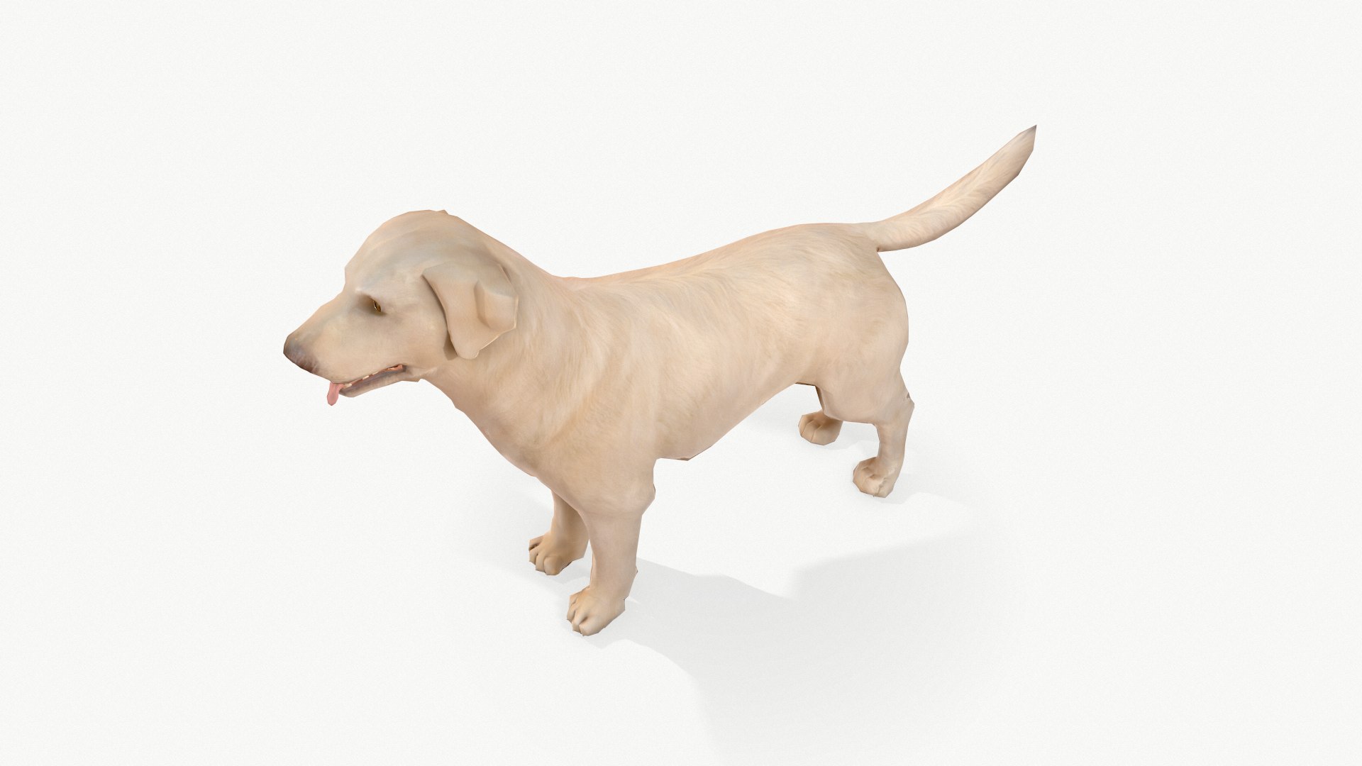 Dog Labrador 3D Model - TurboSquid 1635732