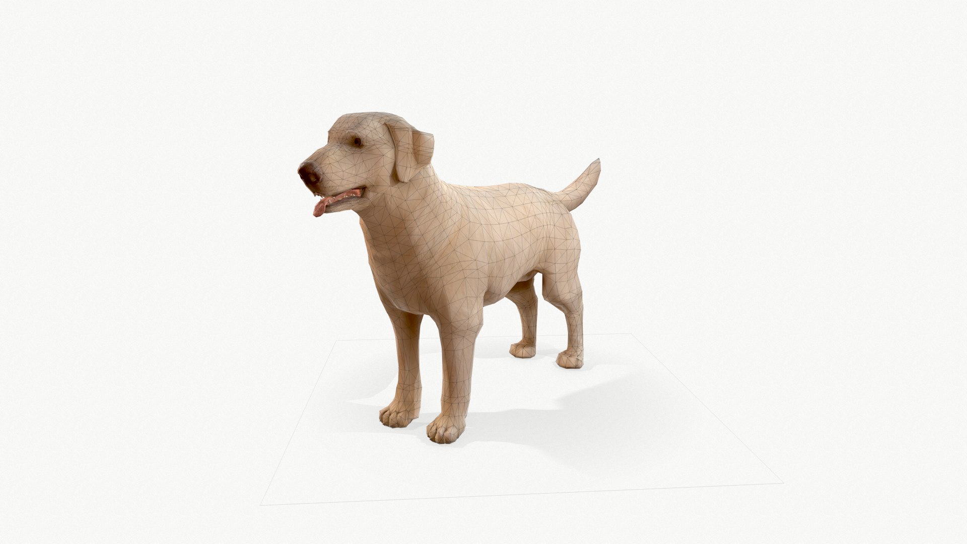 Dog Labrador 3D Model - TurboSquid 1635732