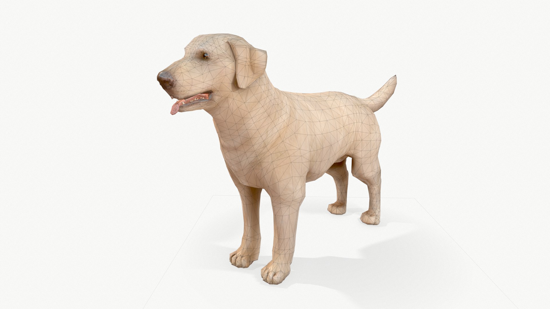 Dog labrador 3D model - TurboSquid 1635732