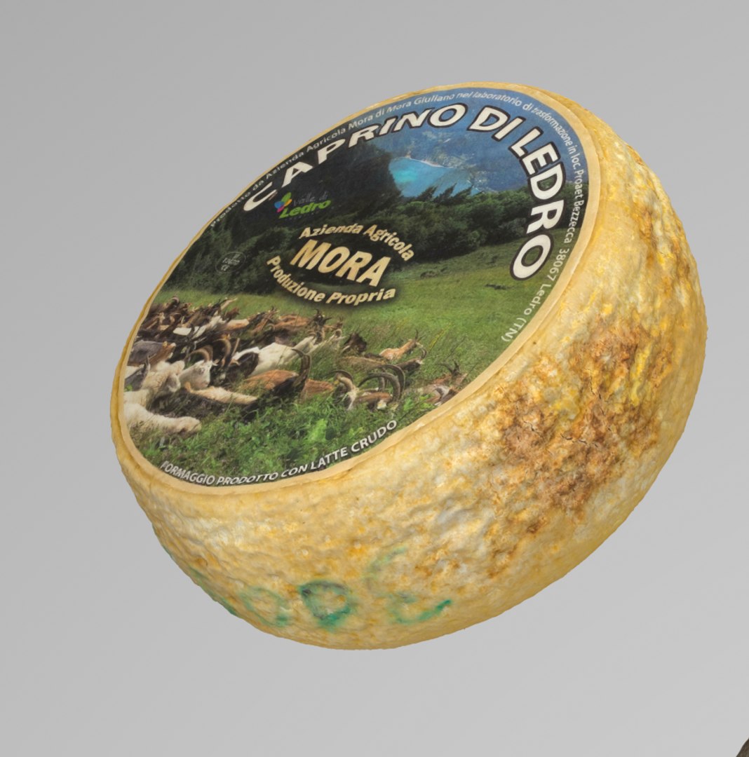 3d Cheese Caprino Octane Model