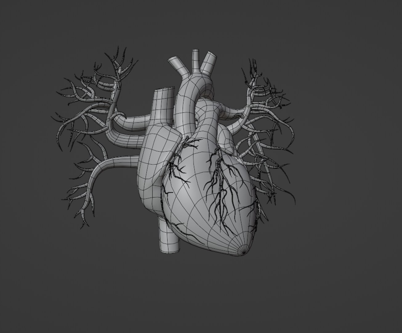 Heart 3D Model - TurboSquid 2118239