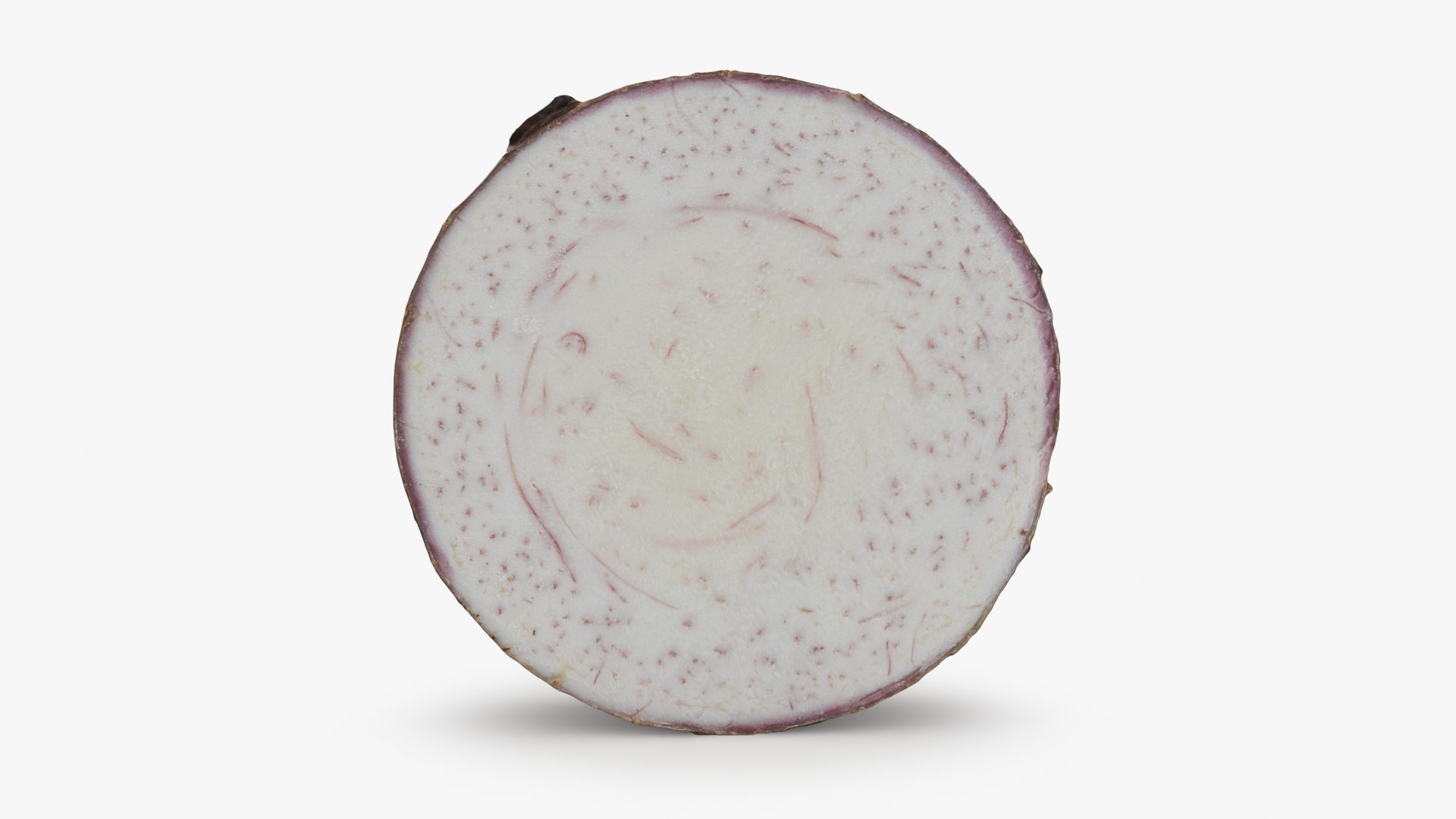 3D Taro Slice Model - TurboSquid 2206068