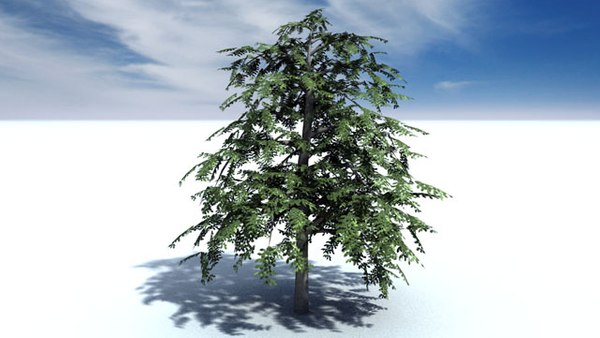 cinema4d tree