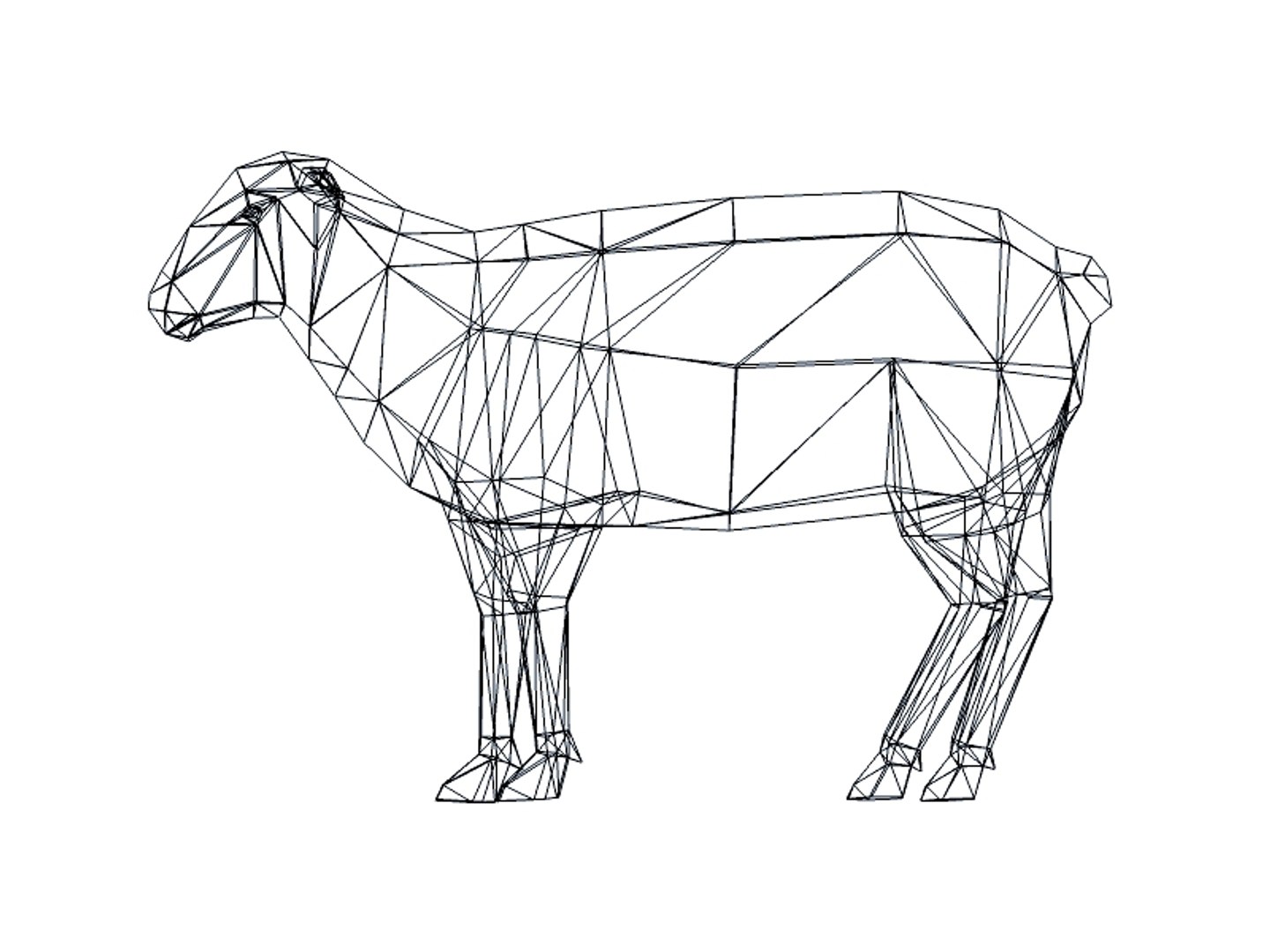 Ready Sheep Set Animations 3d Fbx