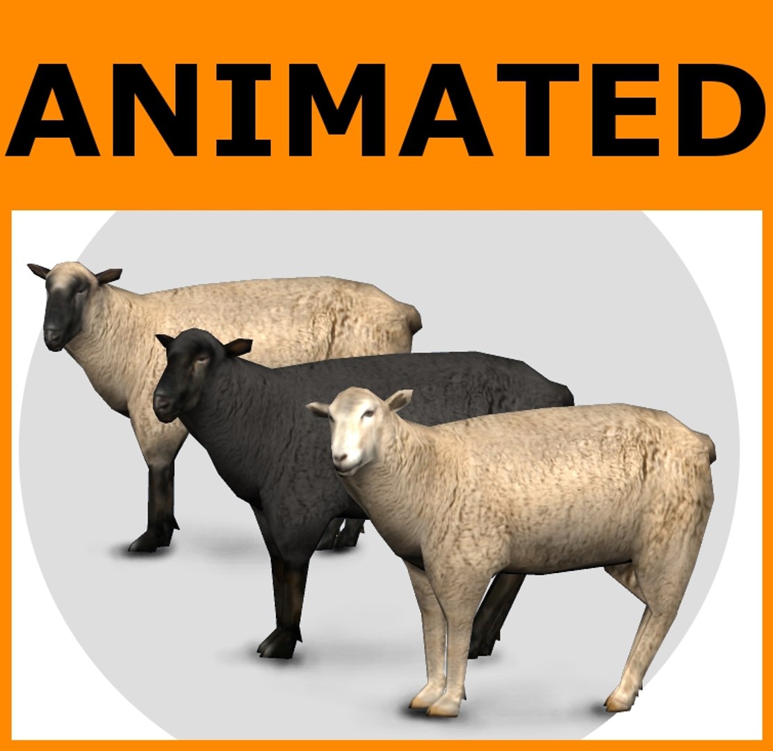Ready Sheep Set Animations 3d Fbx
