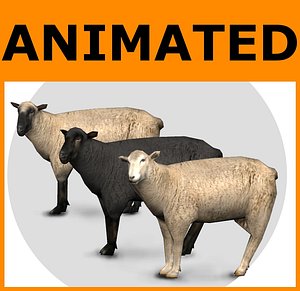 Animated Sheep 3D Models For Download | TurboSquid