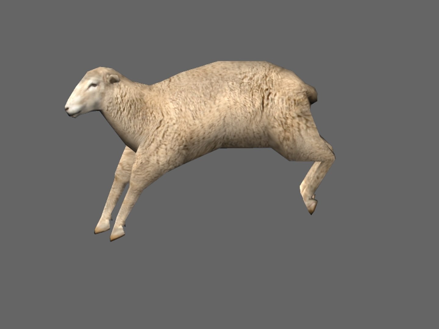 Ready Sheep Set Animations 3d Fbx