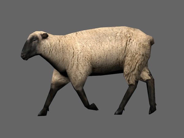 ready sheep set animations 3d fbx