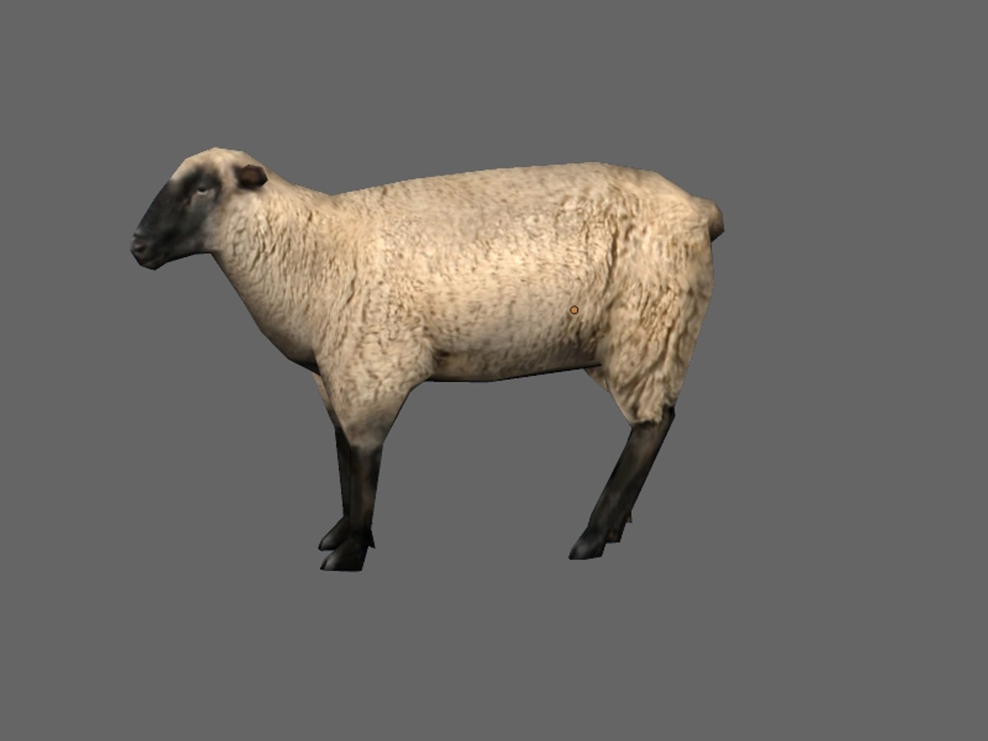 Ready Sheep Set Animations 3d Fbx