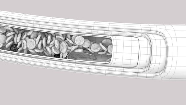 Vein 3D model - TurboSquid 1910892