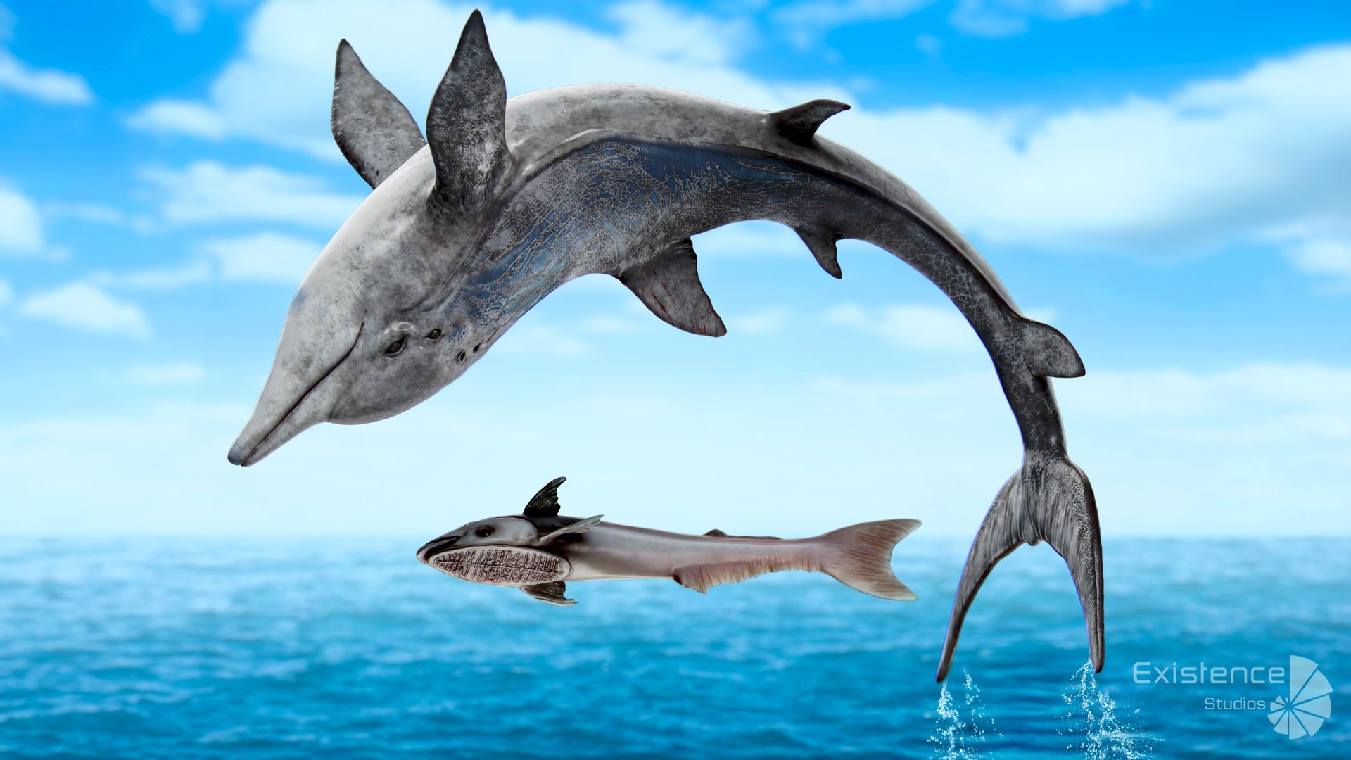 Dolphin And Remora - Realistic 3D Model - Animated Marine Monster - 62 ...