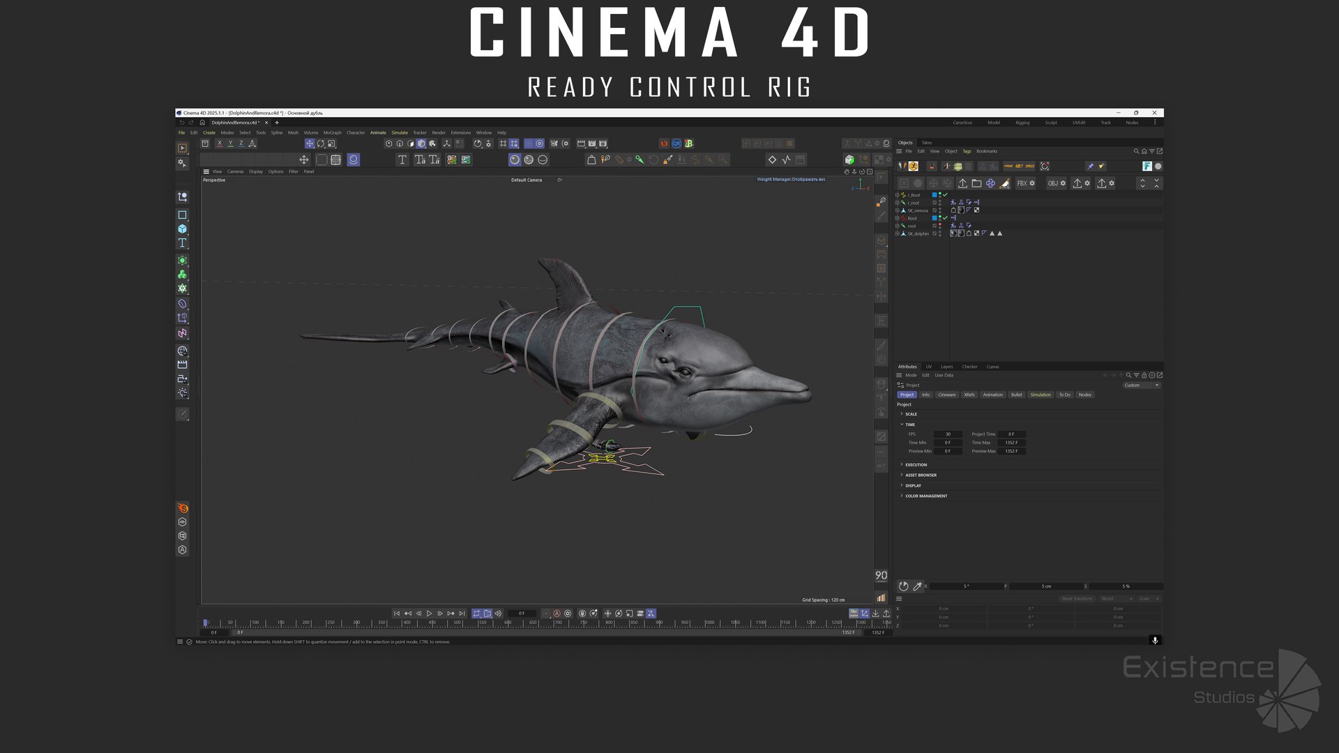 Dolphin And Remora - Realistic 3D Model - Animated Marine Monster - 62 3D Model - TurboSquid 2380857