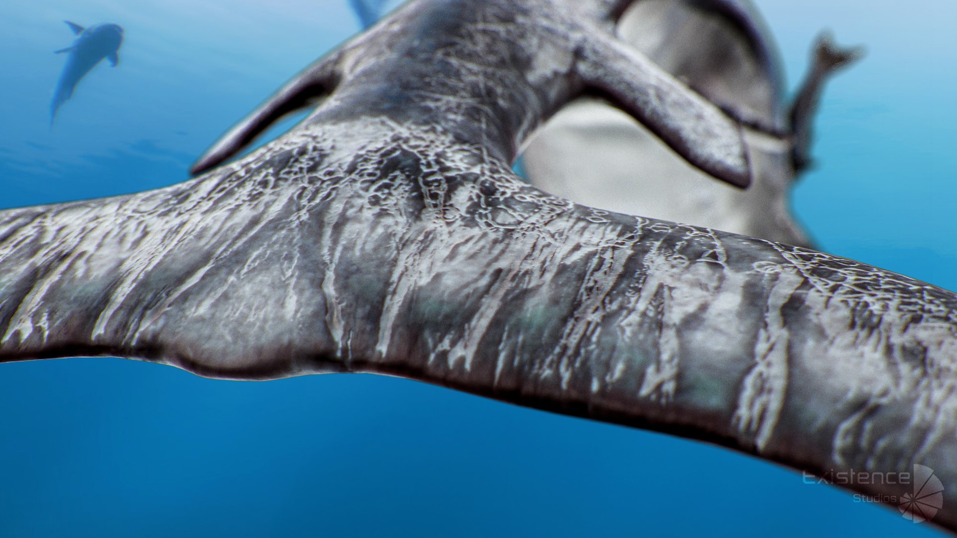 Dolphin And Remora - Realistic 3D Model - Animated Marine Monster - 62 ...