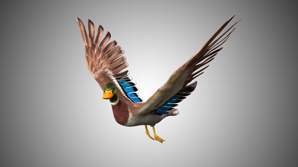 3D rigged realistic - TurboSquid 1618685