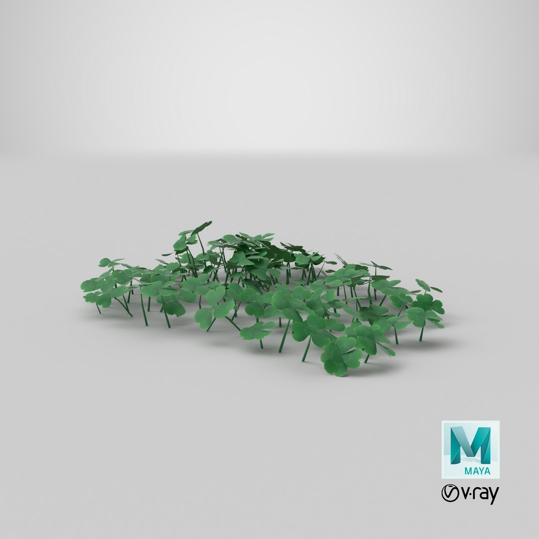 Cartoon Clover 10 3D model - TurboSquid 2043178