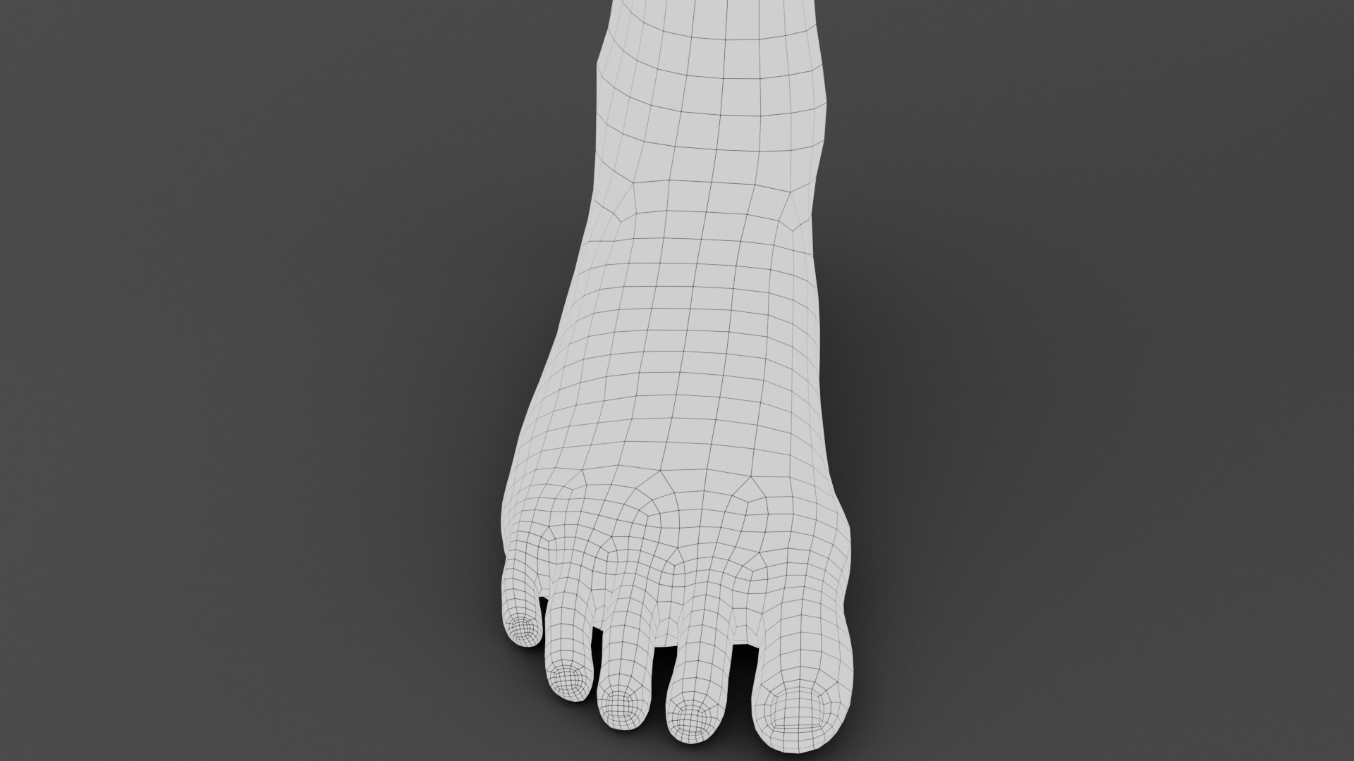 3D Female Base Mesh - TurboSquid 1931535