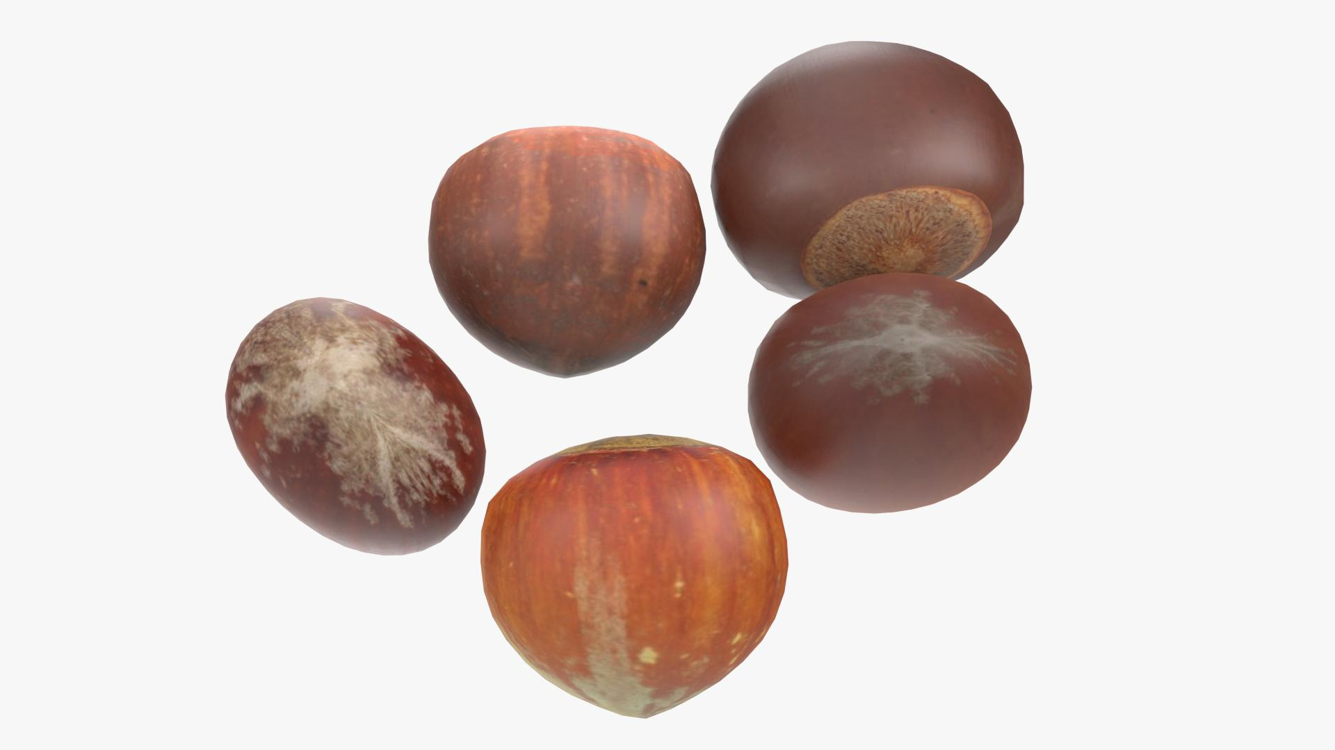 3D Hazelnuts Model - TurboSquid 2062127