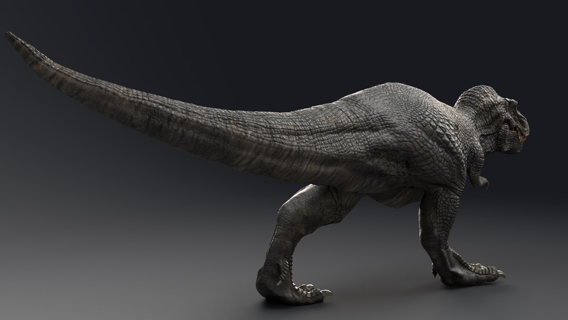 3D Zhuchengtyrannus Magnus- Ancestor Of TRex - 58 Animations Model ...