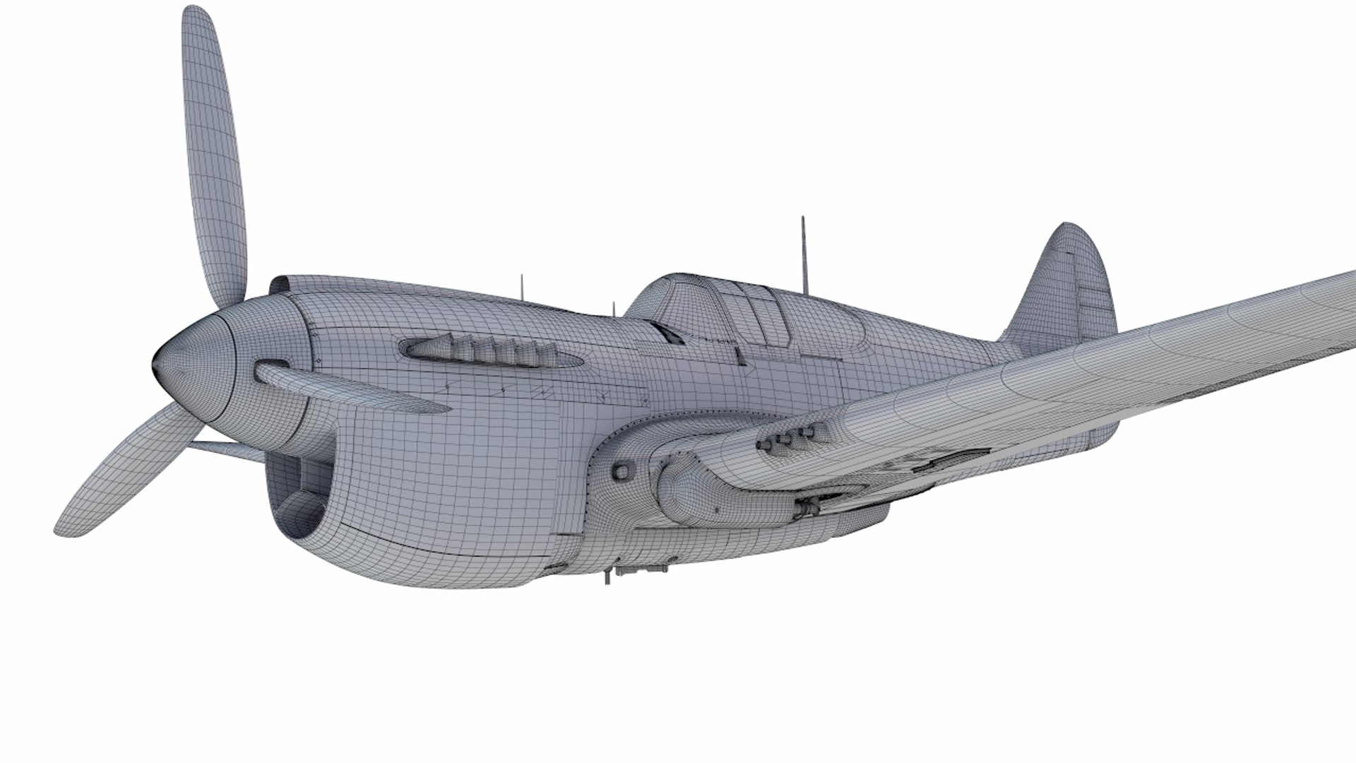 3d Model P40 War Hawk