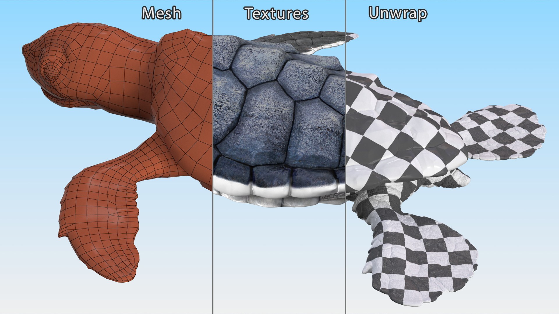 Baby Sea Turtle Black 3D Model - TurboSquid 2201995