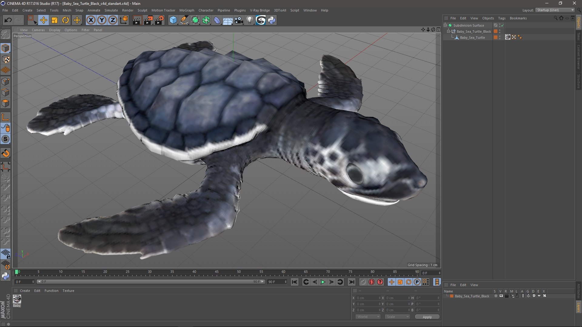 Baby Sea Turtle Black 3D Model - TurboSquid 2201995