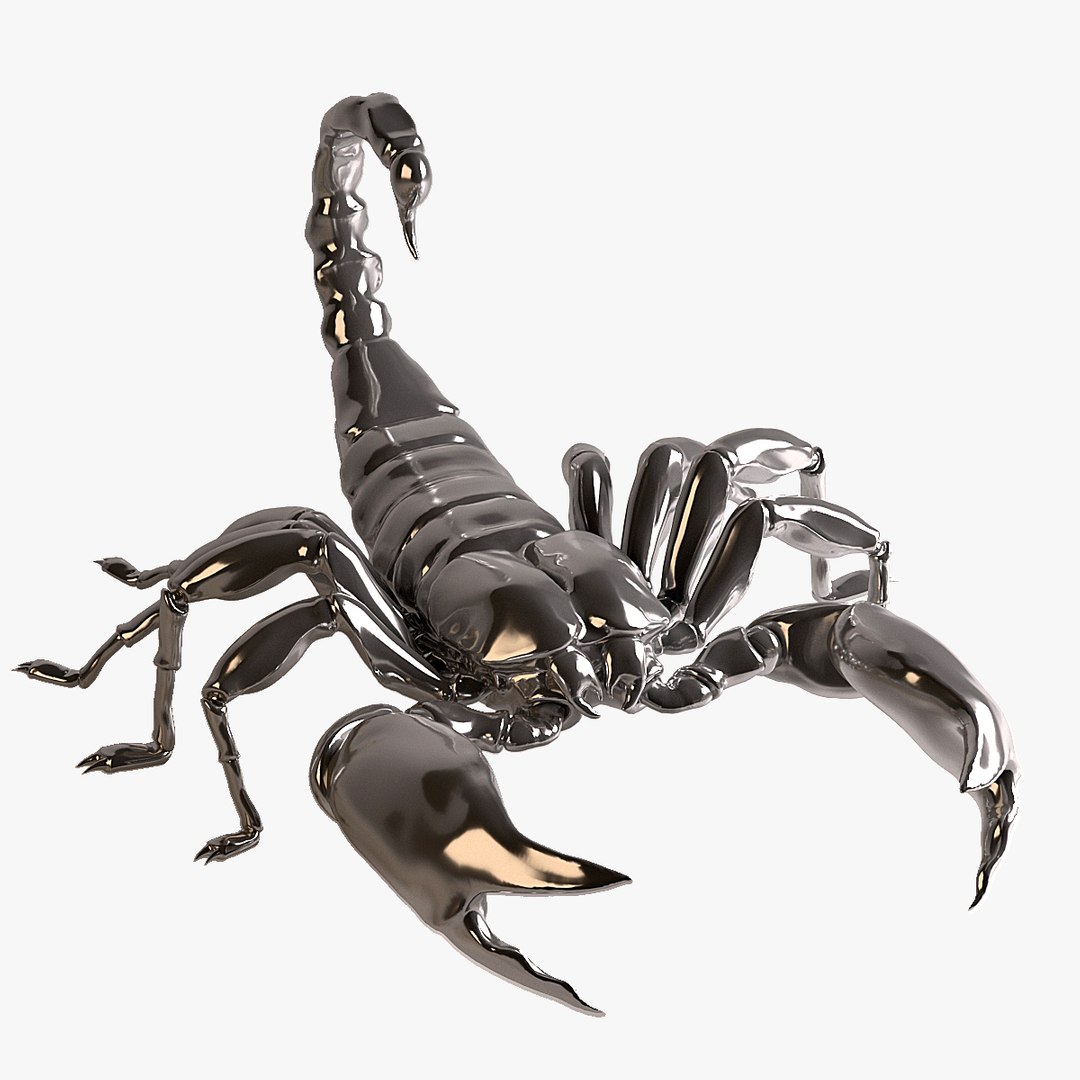 3D Scorpion Silver model - TurboSquid 1970919