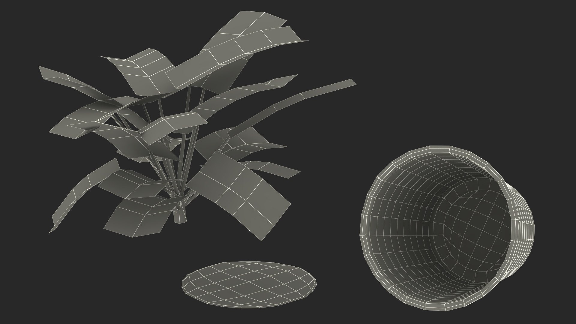 Leafy Vegetable Seedling In Peat Pot Model - TurboSquid 2411565