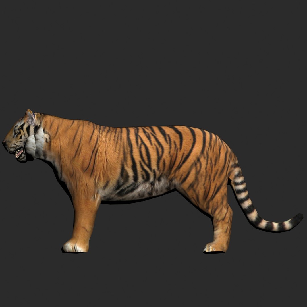 Tiger Max