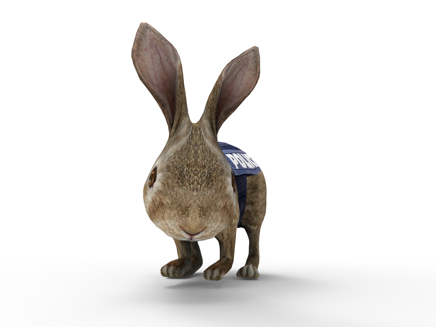 Police Rabbit Rigged 3D Model - TurboSquid 1198709