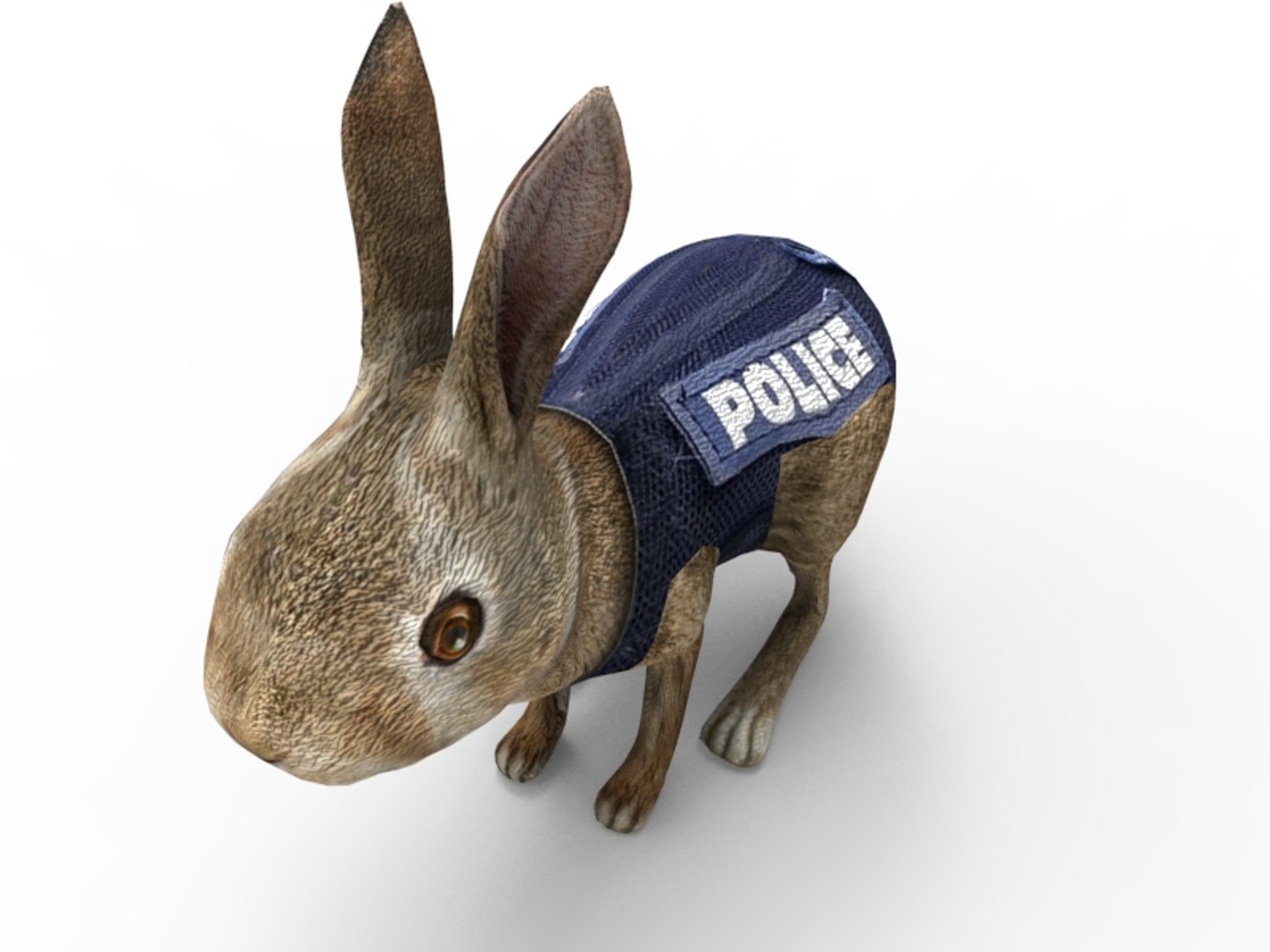 Police Rabbit Rigged 3D Model - TurboSquid 1198709