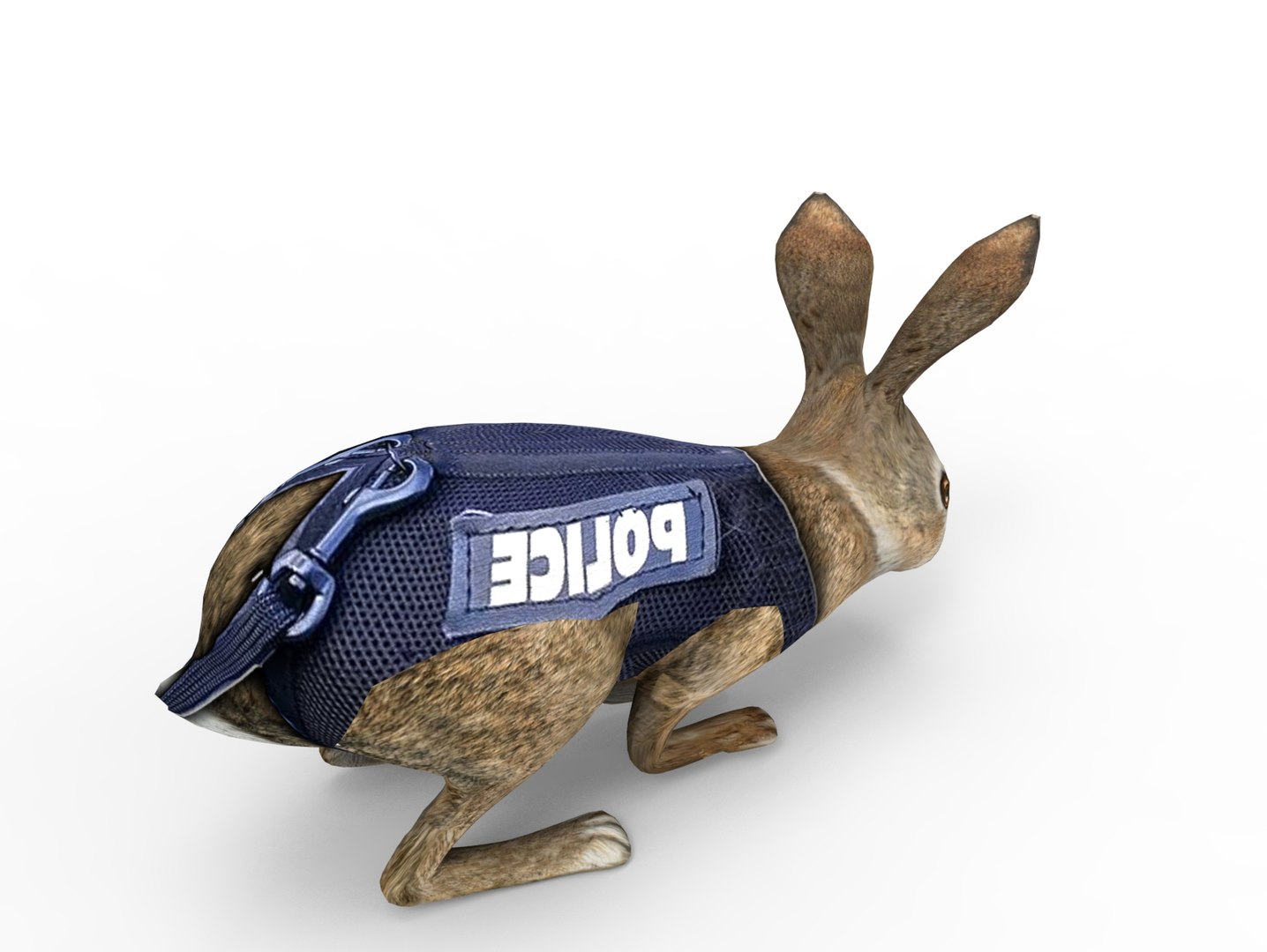 Police Rabbit Rigged 3D Model - TurboSquid 1198709