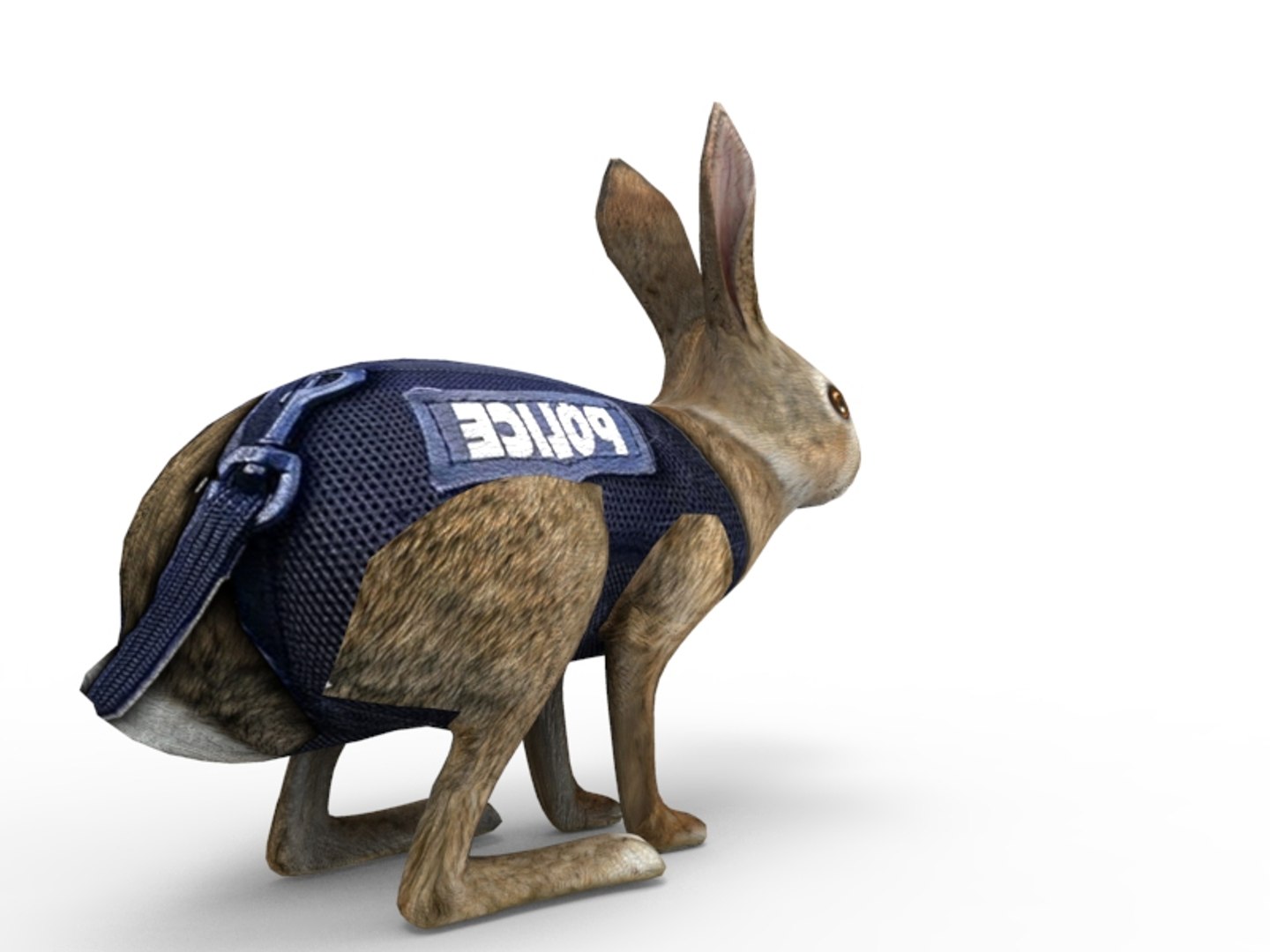 Police Rabbit Rigged 3D Model - TurboSquid 1198709