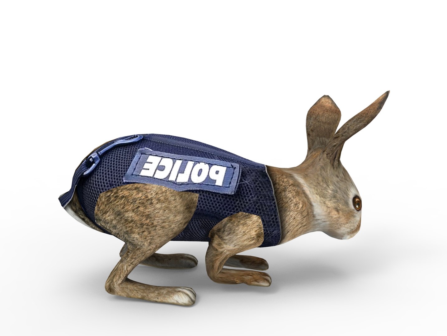 Police Rabbit Rigged 3D Model - TurboSquid 1198709
