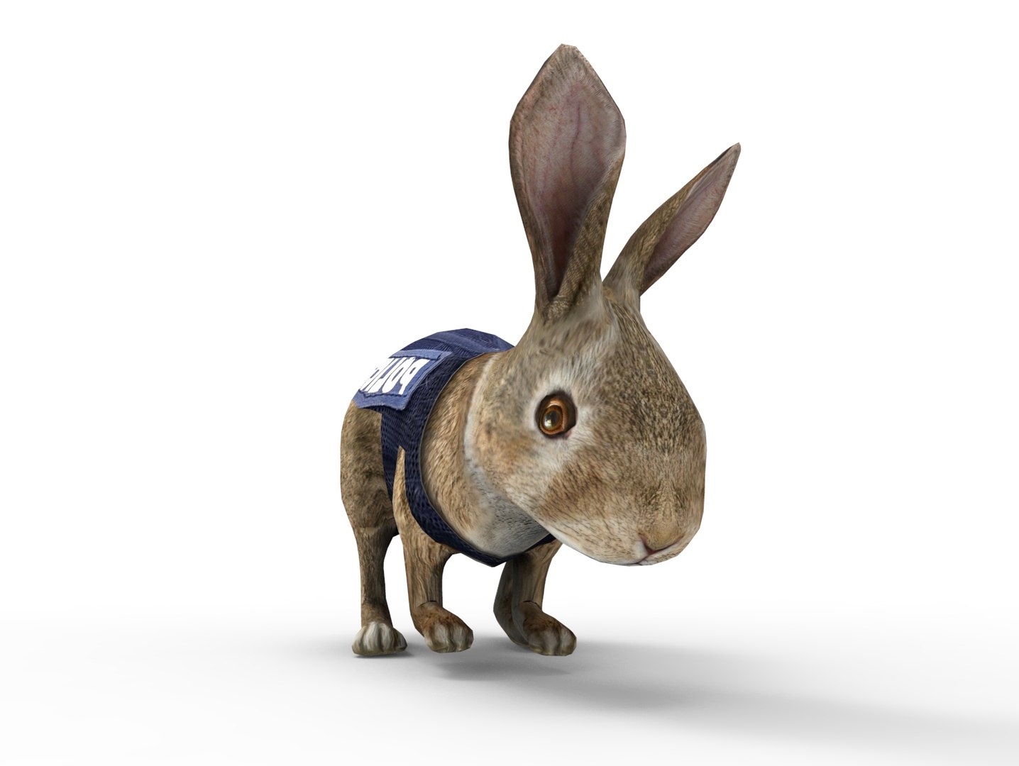 Police Rabbit Rigged 3D Model - TurboSquid 1198709