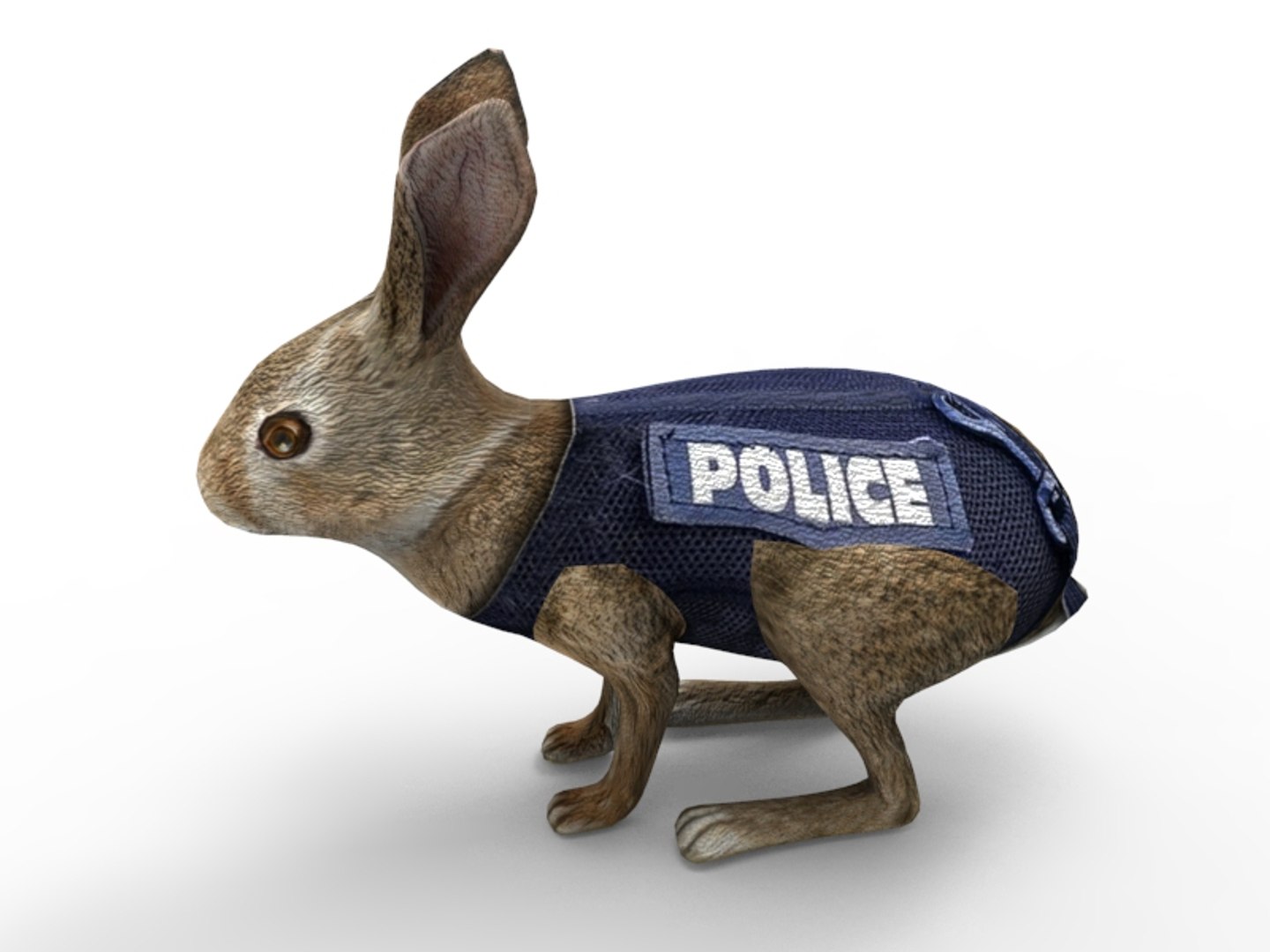 Police Rabbit Rigged 3D Model - TurboSquid 1198709