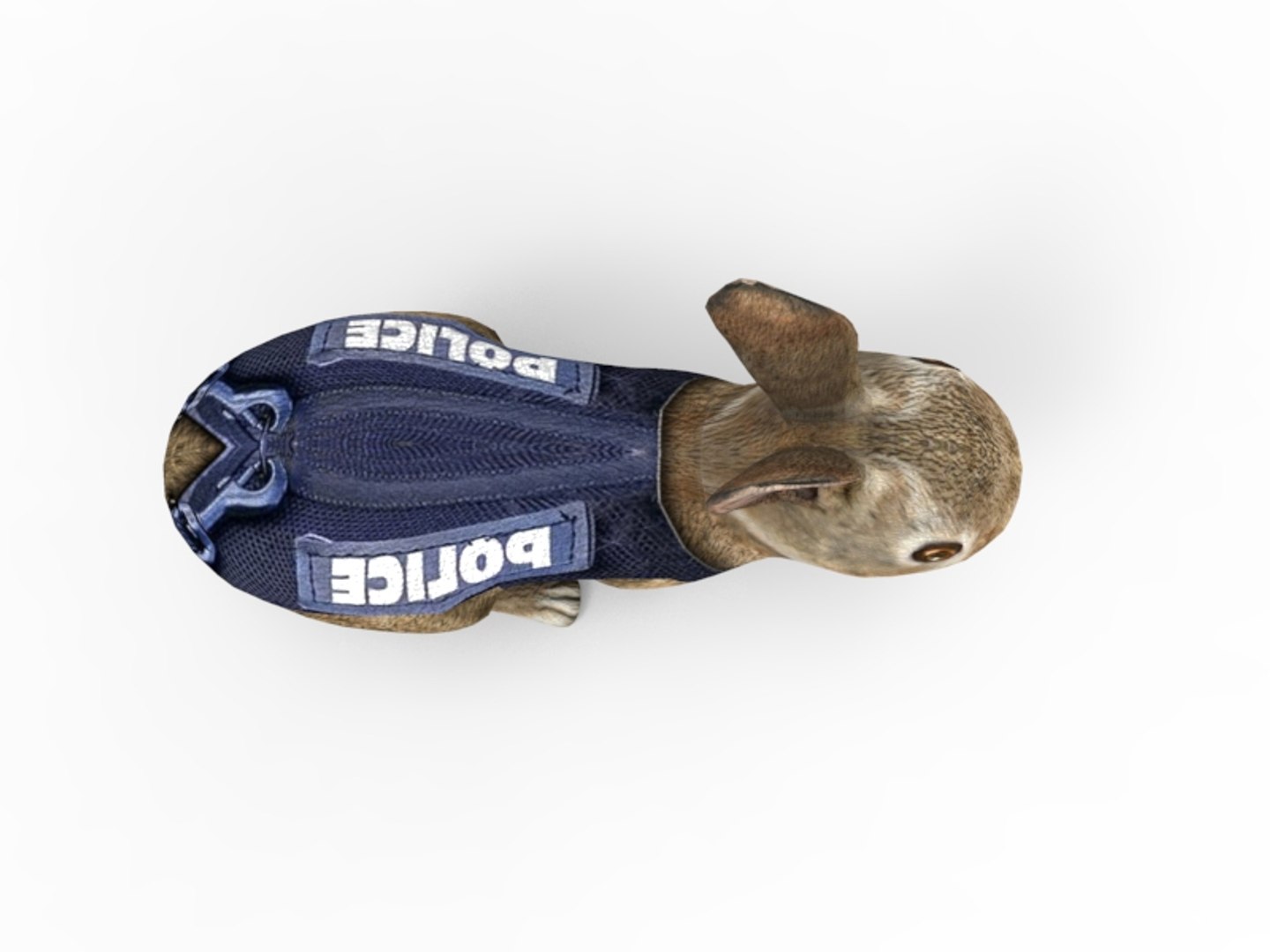 Police Rabbit Rigged 3D Model - TurboSquid 1198709