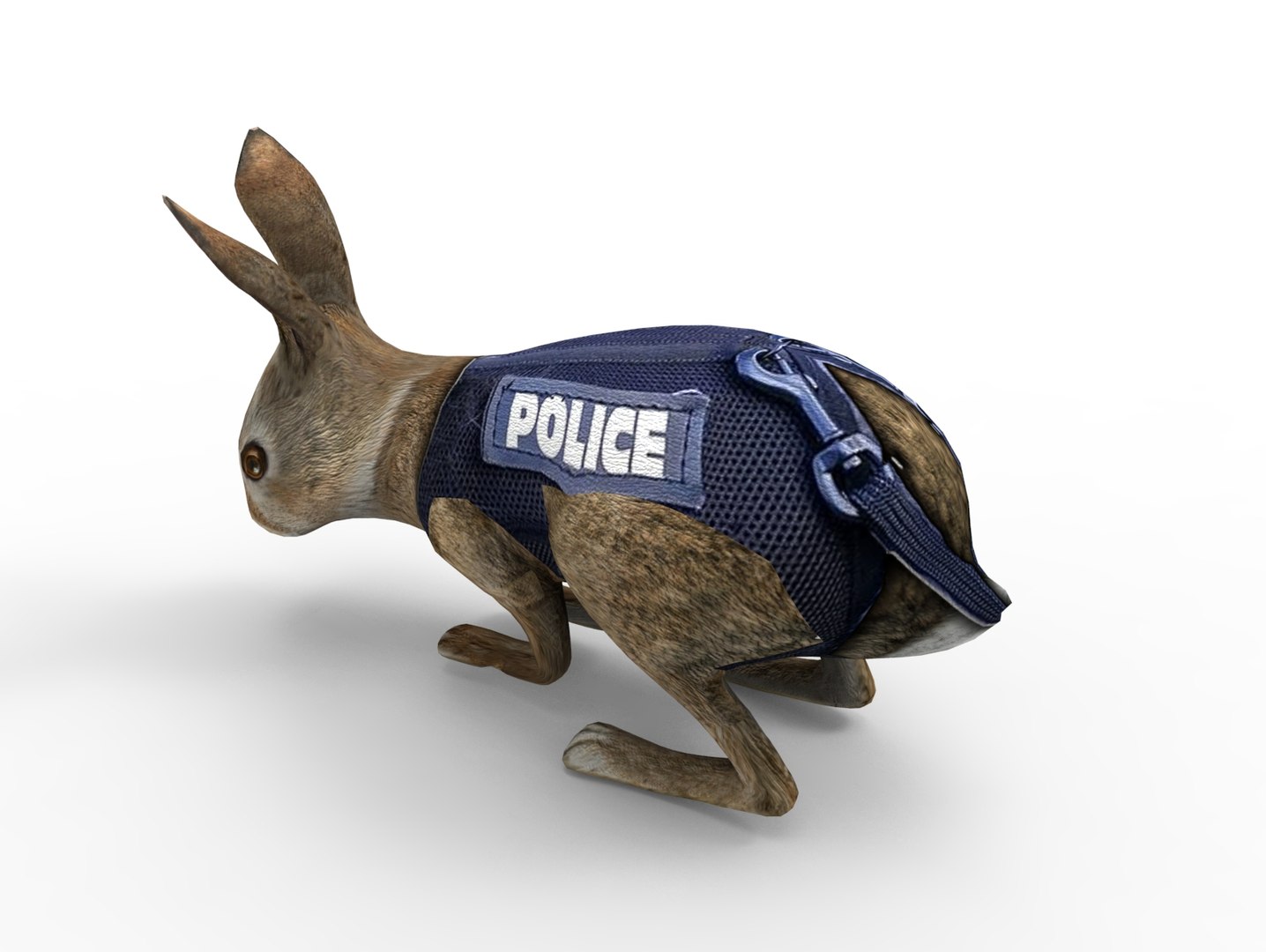 Police Rabbit Rigged 3D Model - TurboSquid 1198709