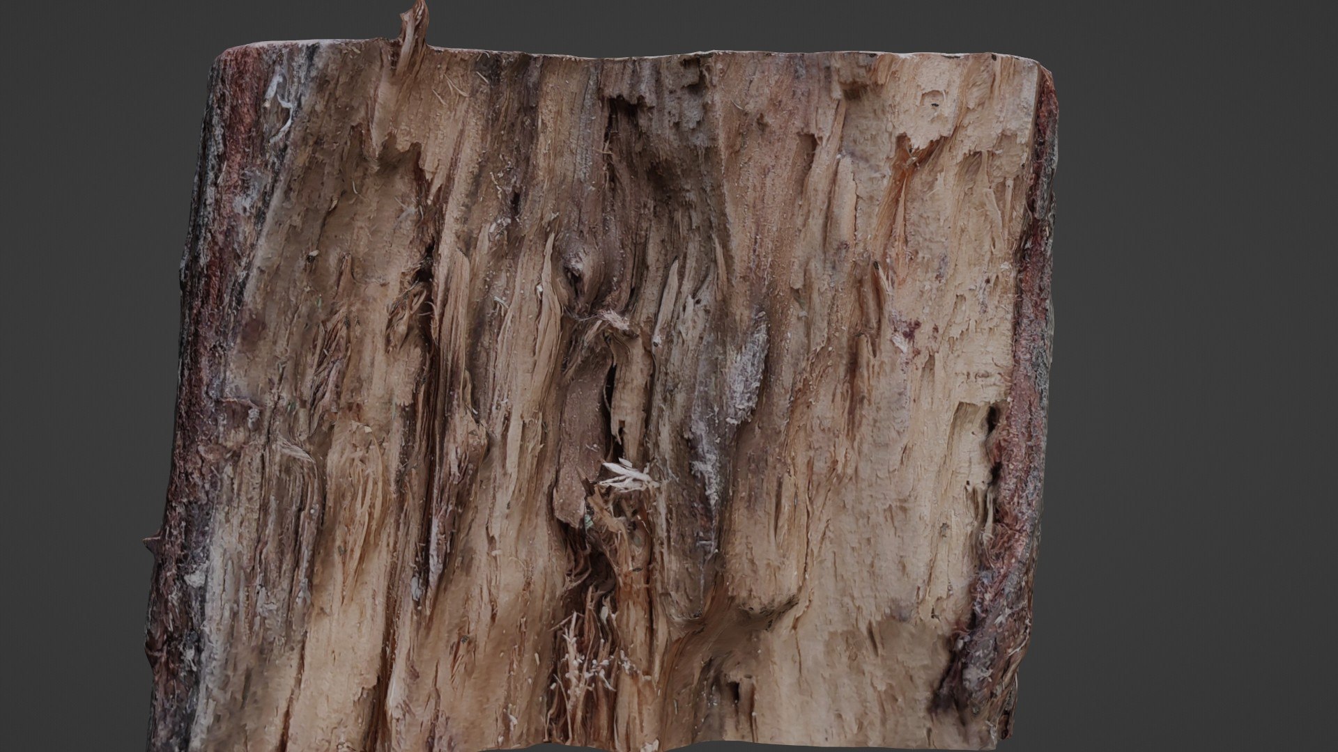 3D Cutted Stump Model - TurboSquid 2330059