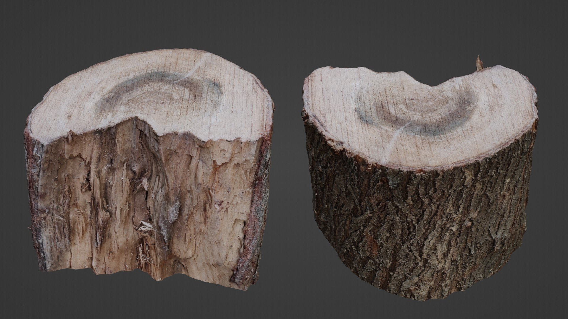 3D Cutted Stump Model - TurboSquid 2330059