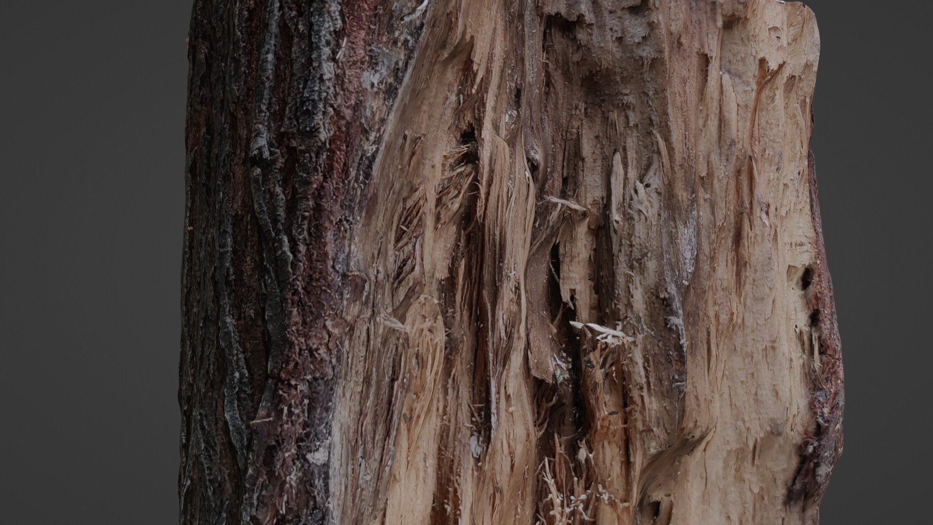 3D Cutted Stump Model - TurboSquid 2330059