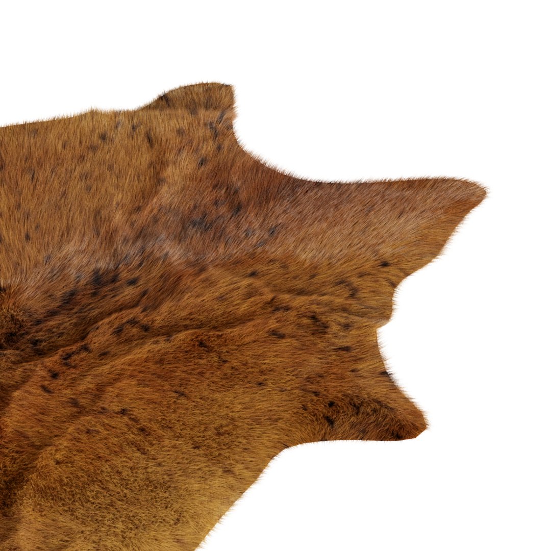 3D Animal Skin Rug 17 - TurboSquid 1788174